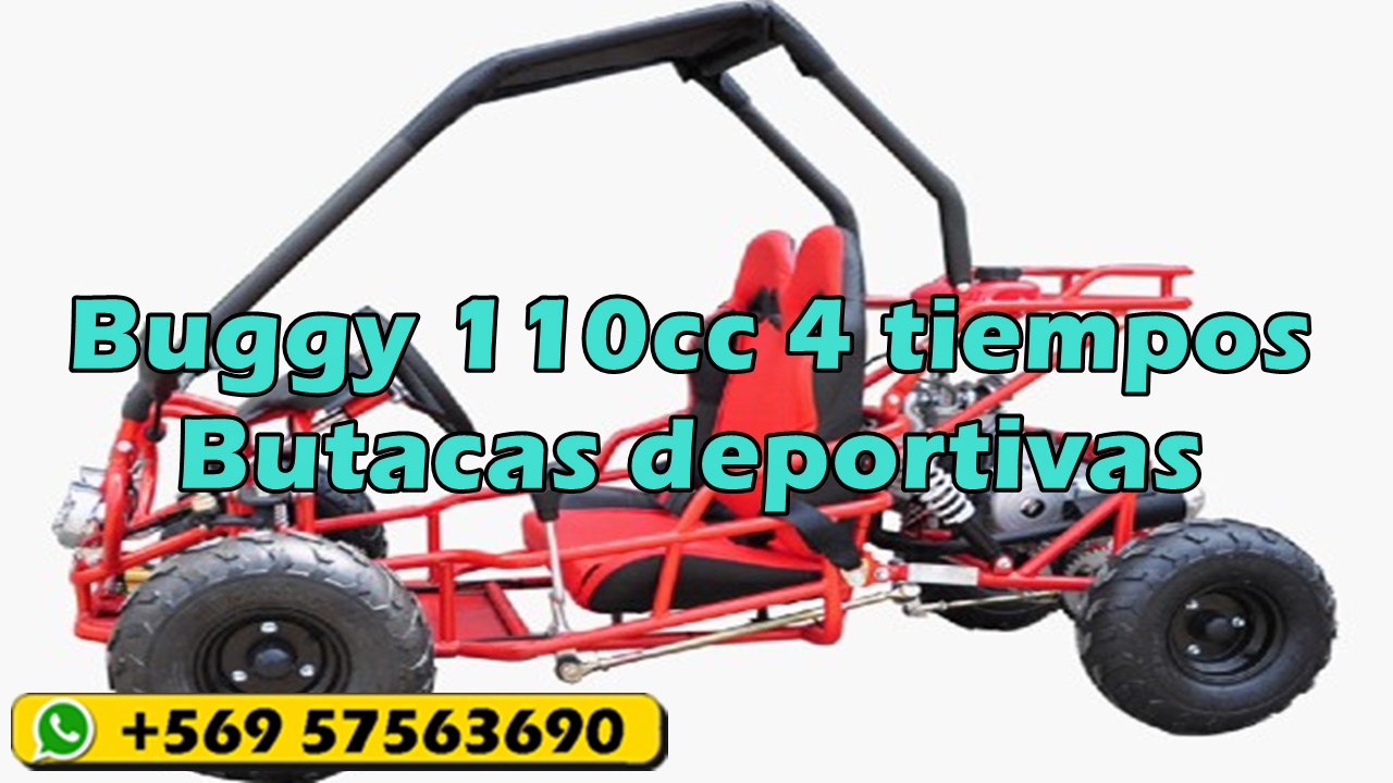 Nuevos Gokart y Buggy Sahara :: ATV-GOKART-CHILE